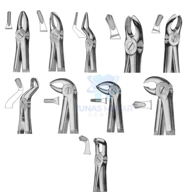 Jual Set Tang Cabut Gigi Dewasa Forceps Adult Isi 10 | Shopee Indonesia