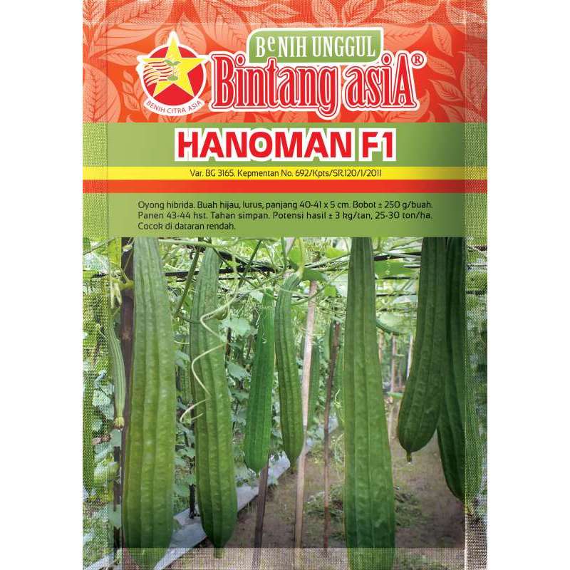 Jual Benih Bibit Gambas Hanoman F1 10gr / Oyong Hanoman F1 / BCA ...