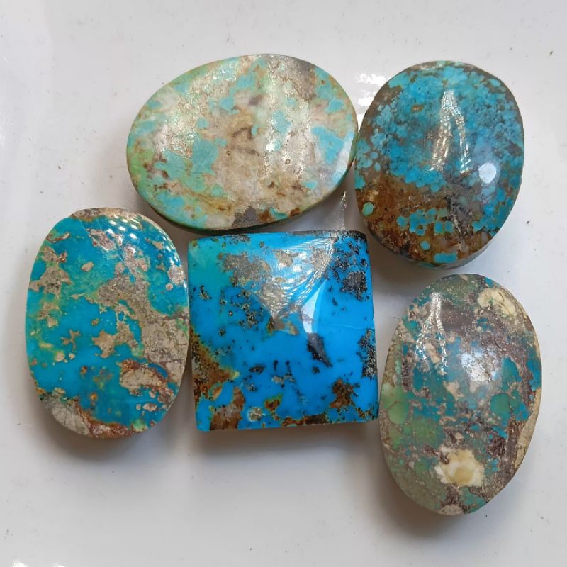 Jual Natural Pirus Persia (M) | Shopee Indonesia