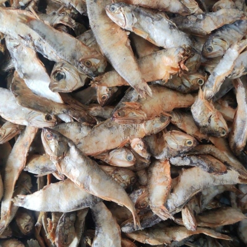 Jual Ikan terubuk 1 kg | Shopee Indonesia