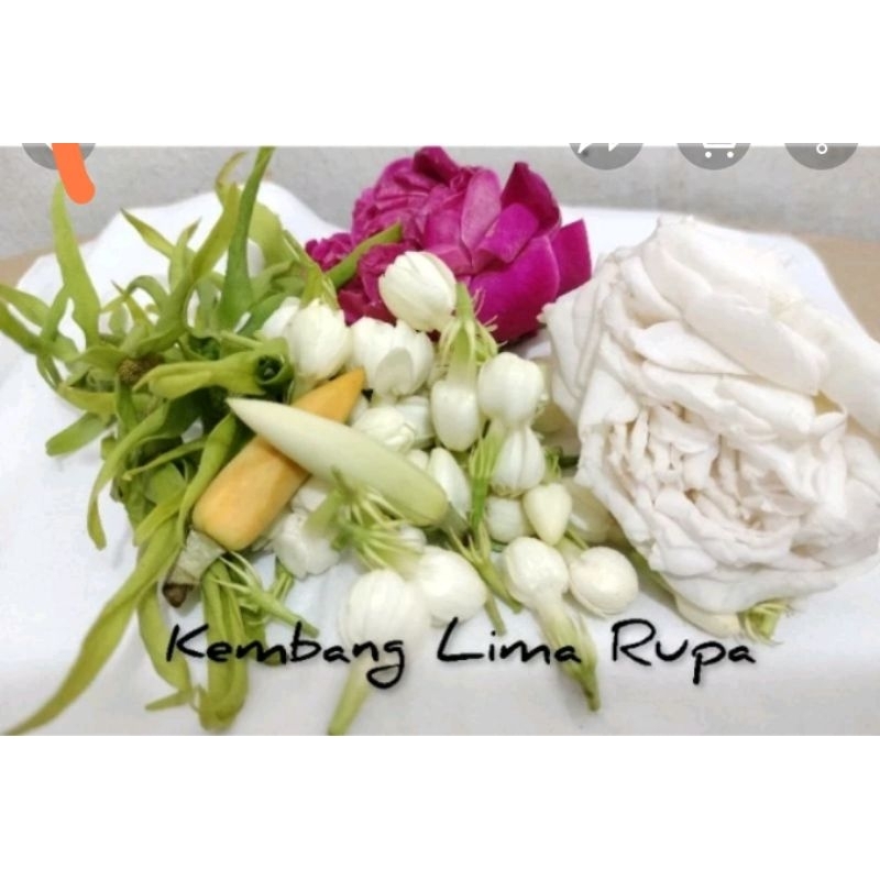 Jual bunga /kembang liman(5 rupa) | Shopee Indonesia