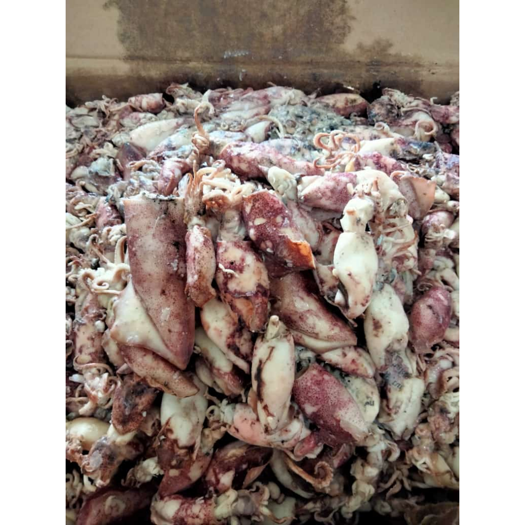 Jual cumi asin telor/cumi asin rebus/ikan cumi asin 200gr | Shopee ...