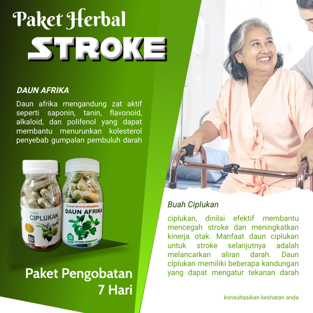 Jual obat herbal stroke stroke lumpuh daun afrika ciplukan melancarkan ...