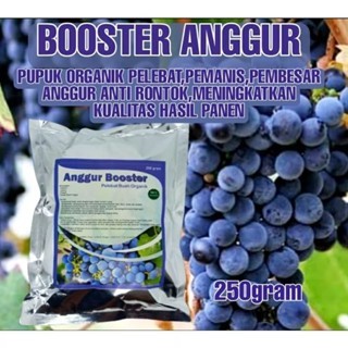 Jual Pupuk Anggur Booster 250 gram - Pelebat Buah Anggur 250 gr - Pupuk ...