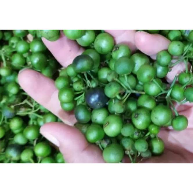 Jual SAYUR LEUNCA / LALAP _ 250gr | Shopee Indonesia