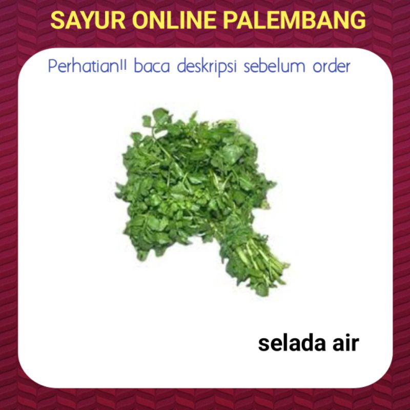Jual Selada Air Fresh Per Ikat - Pasar Toko Sayur Sayuran Segar Online ...
