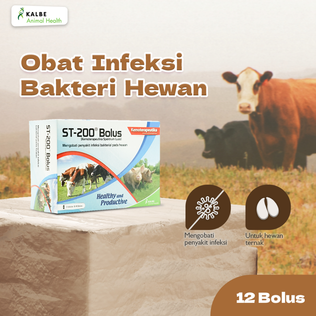 Jual ST200 Bolus - Obat Infeksi Bakteri Hewan | Shopee Indonesia