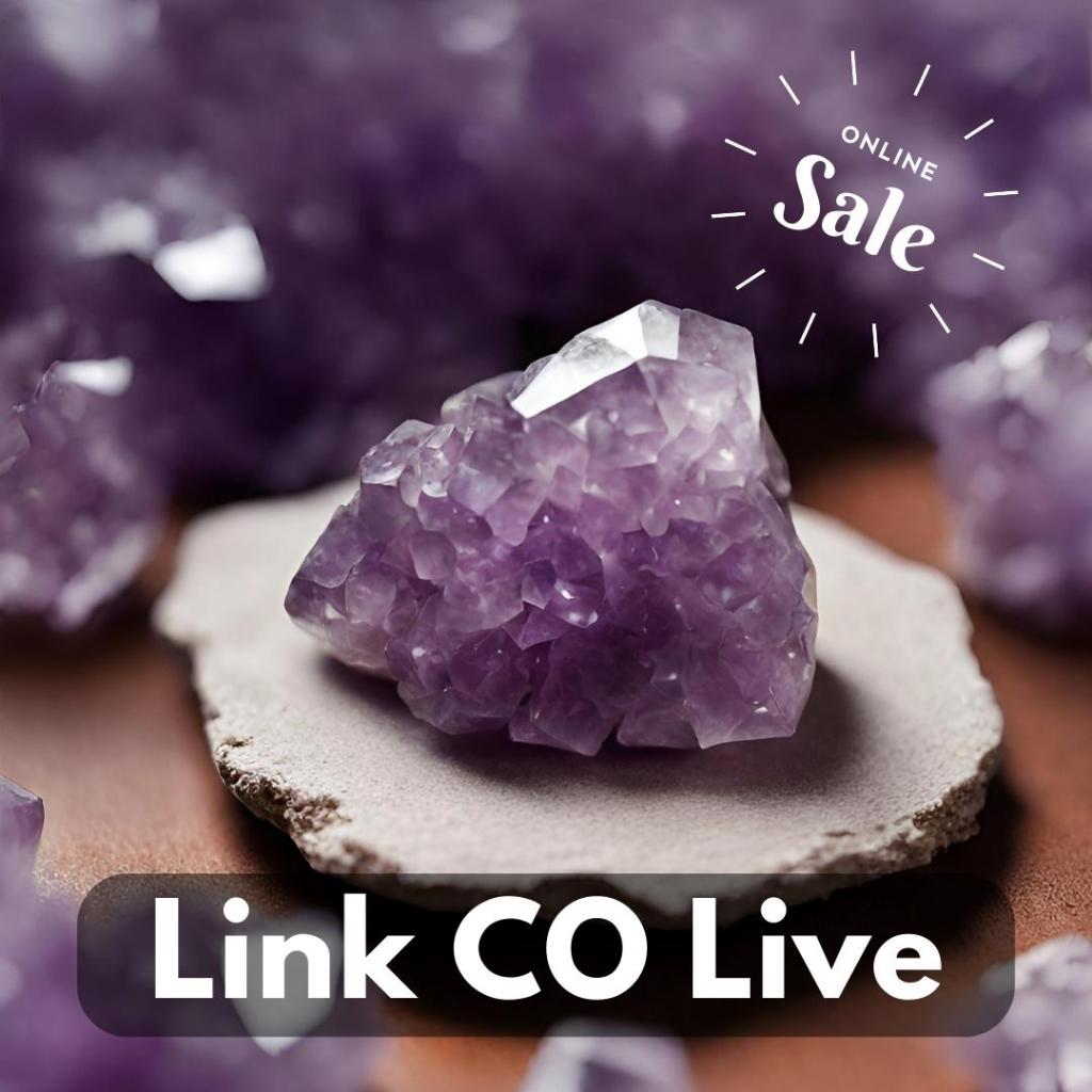 Jual LINK CO LIVE 1000K - 2000 K ( L1SP ) | Shopee Indonesia