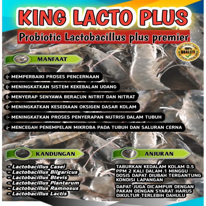 Jual PROBIOTIK LACTOBACILLUS UNTUK BUDIDAYA UDANG DAN IKAN KING LACTO ...