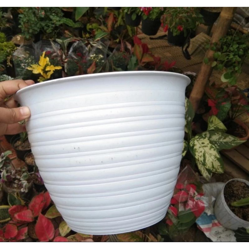 Jual Pot lebah 30 putih, mirip model tawon, Pot putih besar, Pot ...