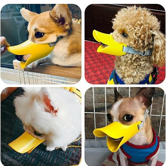 Jual Penutup Mulut Anjing Bentuk Bebek Silikon Anti Gigit Penutup Mulut ...