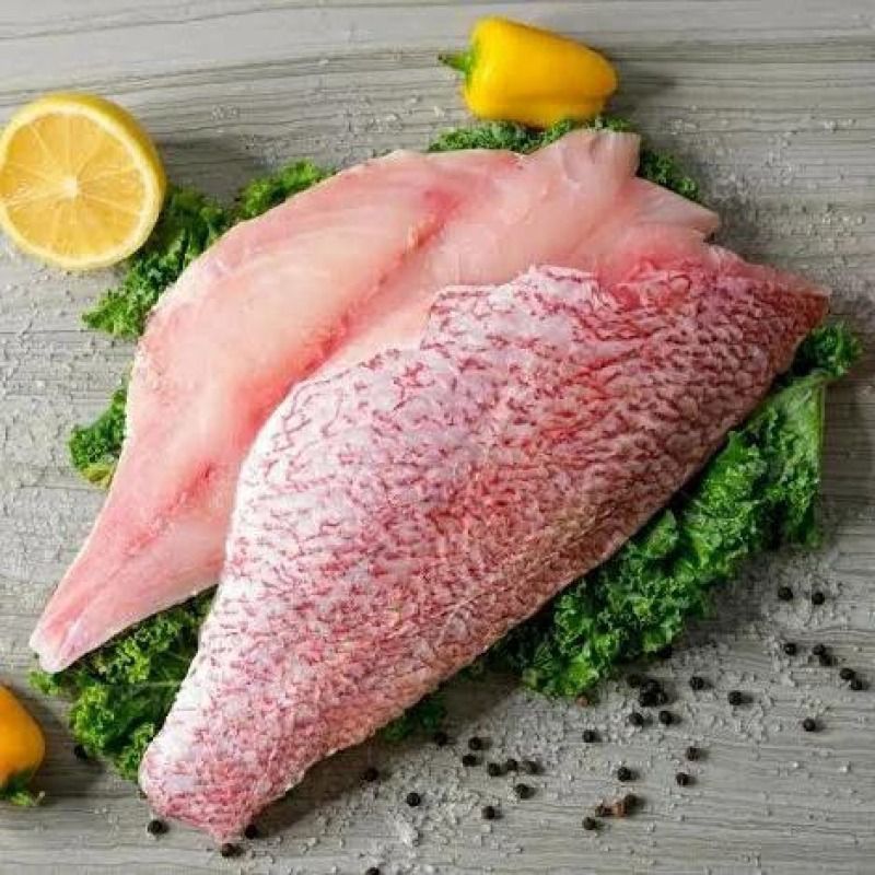 Jual Ikan FIllet Kakap Merah / Red Snapper Fish Fillet Premium 1kg ...