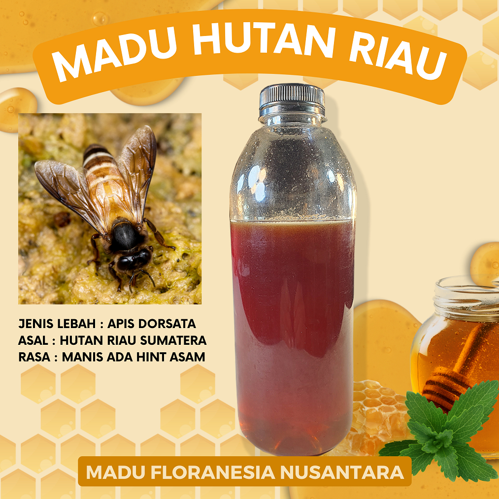 Jual MADU MURNI MADU ASLI HUTAN ODENG 1 KG KUALITAS PREMIUM FULL NEKTAR ...