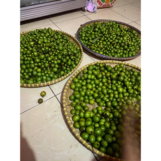 Jual Buah Jatake Terlengkap & Harga Terbaru Juli 2024 | Shopee Indonesia