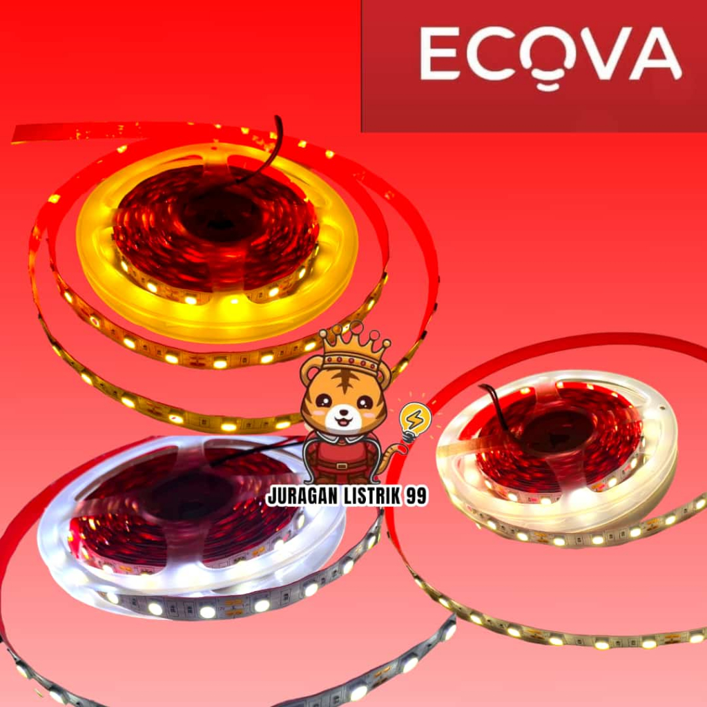 Jual LAMPU LED STRIP ECOVA 5M 12V 5050 / 2835 MATA BESAR MATA KECIL ...