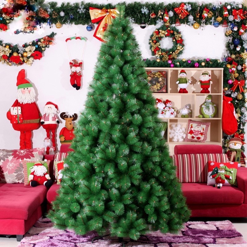 Jual [270cm 240cm] Pohon Natal Daun Jarum Hijau Polos Semi Salju ...