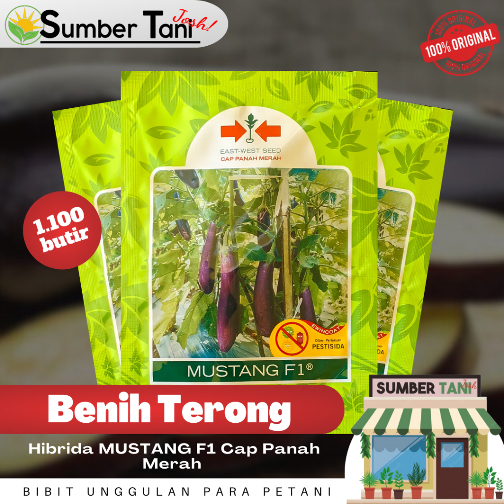 Jual Benih Terong Ungu MUSTANG F1 1100 Butir Cap Panah Merah | Shopee Indonesia