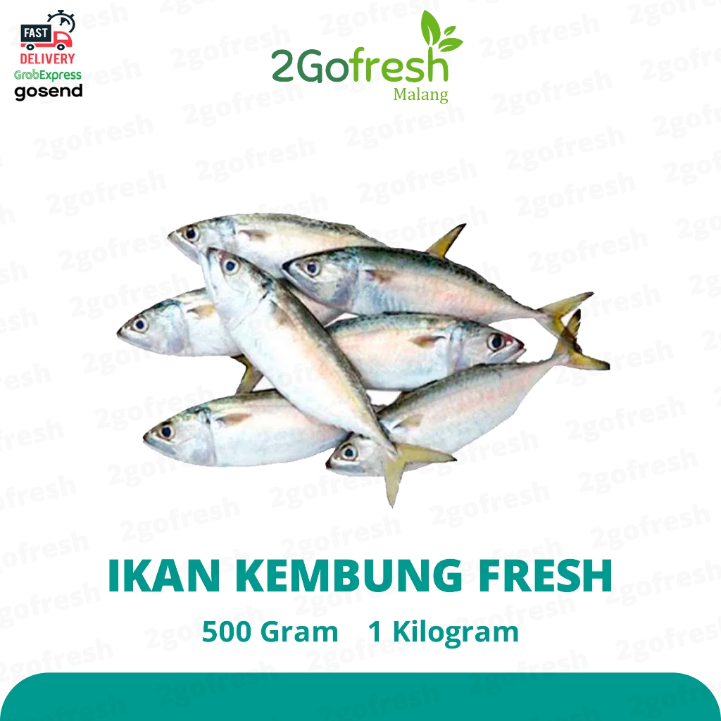 Jual Ikan Kembung Fresh - Sayur Sayuran | Shopee Indonesia