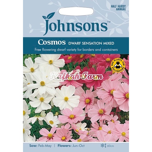 Jual Benih 3 Biji Bunga COSMOS Dwarf Sensation Mixed | Shopee Indonesia