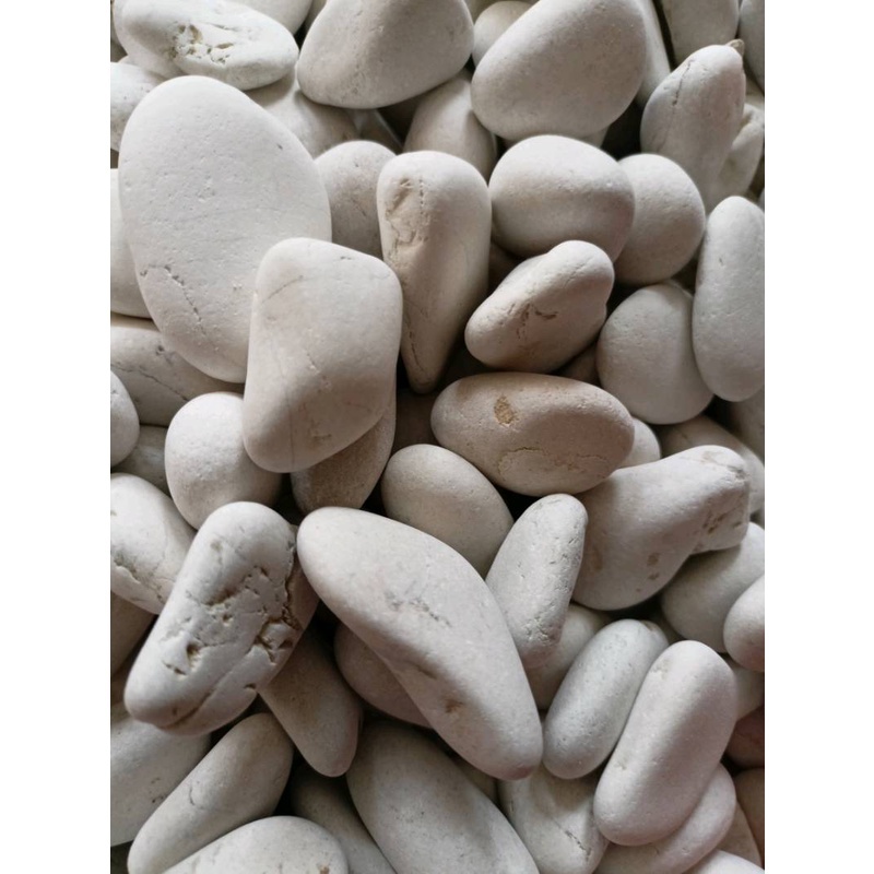 Jual Batu Koral Putih Batu Hias Taman 10 kg 1 karung Batu Putih Kupang ...