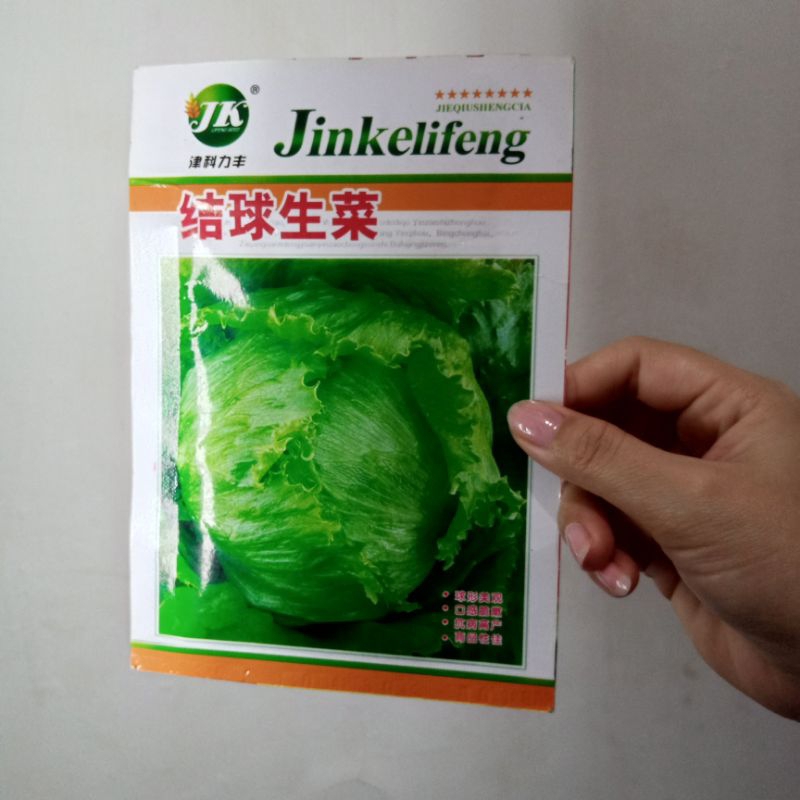Jual benih selada head LETTUCE asli kemasan sesuai Poto isi banyak ...