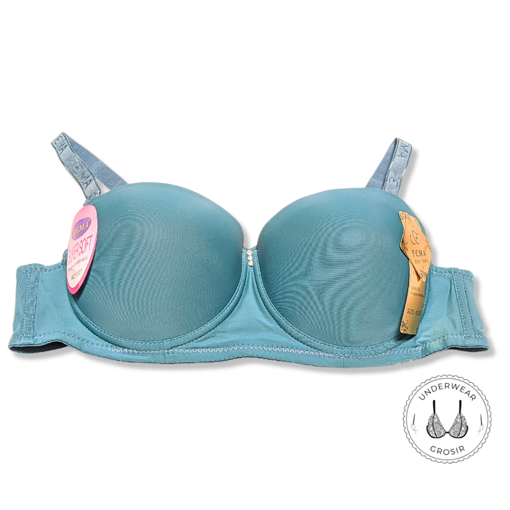 Jual Bra Wanita Fema 1001 Fema 1291 Cup Besar BH Wanita Cup C Kait 3 ...
