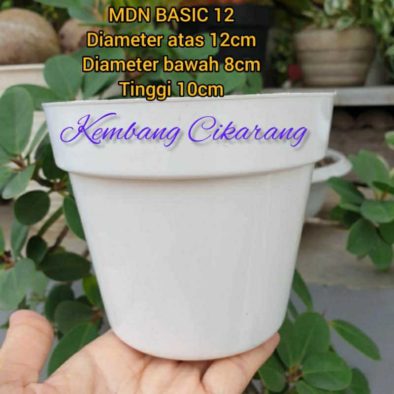 Jual (1pc) MDN BASIC 12 (12cm) : pot bunga biasa pot murah bagus tebal ...