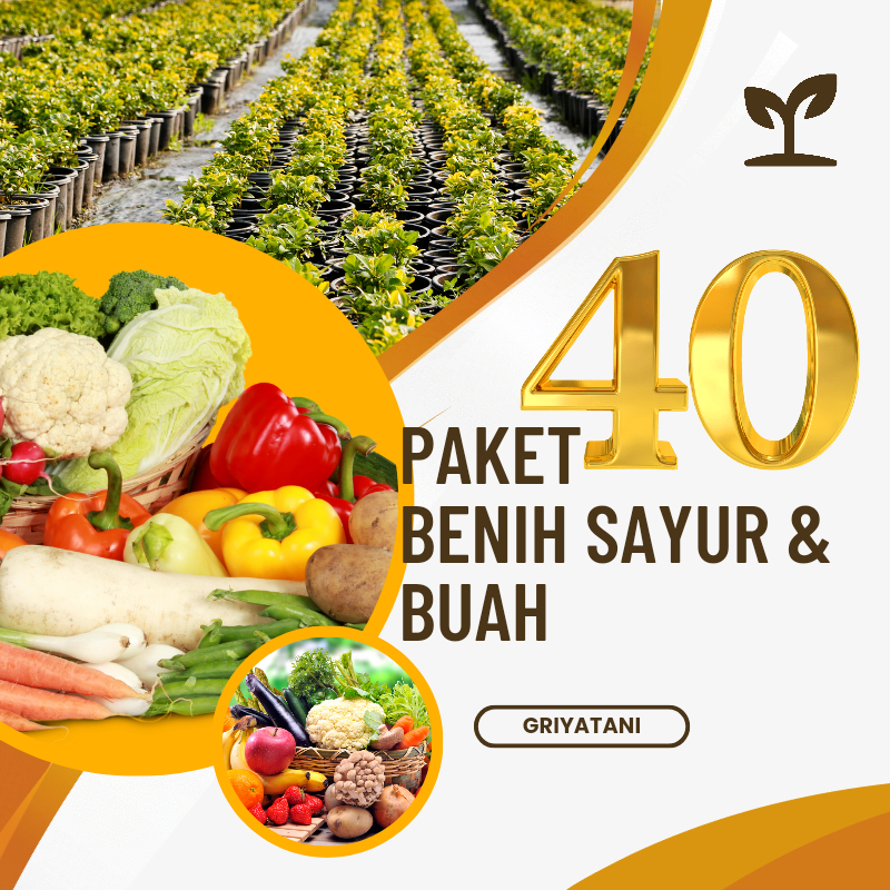 Jual Paket 40 Jenis Benih Sayur Lengkap Terong Bayam Timun Lalap Pare ...