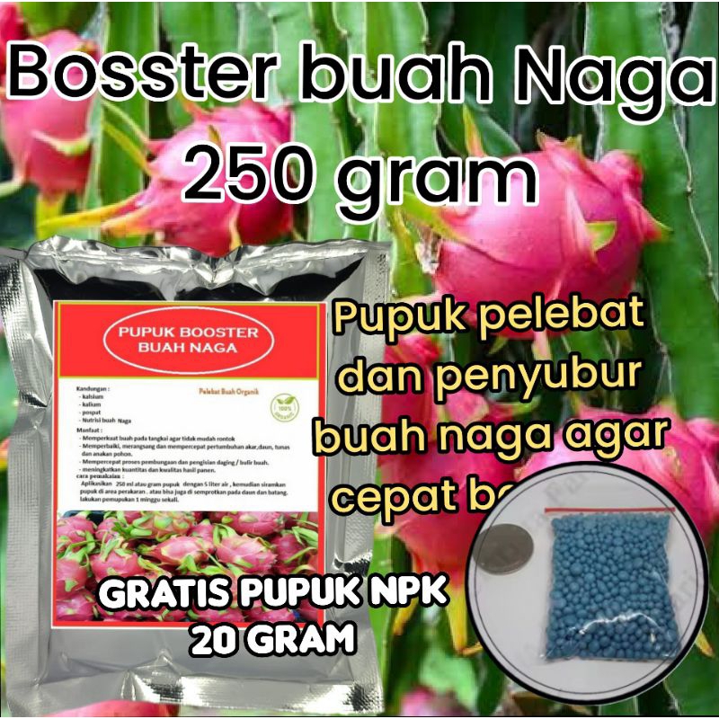 Jual Pupuk Organik Multi mikroba Booster Buah Naga Perangsang Buah Serbuk Terbaik Ampuh Agar ...