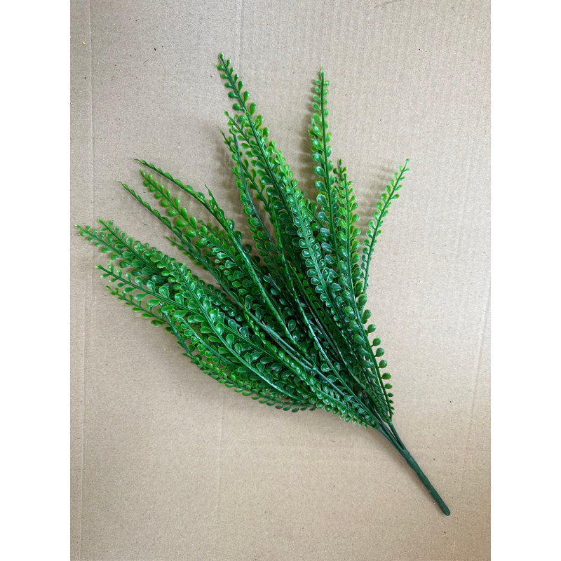 Jual TANAMAN TANGKAI ARTIFICIAL PETAI CINA PANJANG | Shopee Indonesia