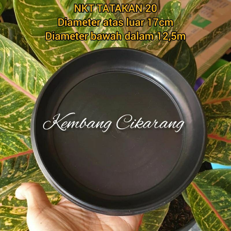 Jual (1pc) NKT TATAKAN 20 (17cm) HITAM : alas pot ukuran 20 hitam murah bagus | Shopee Indonesia