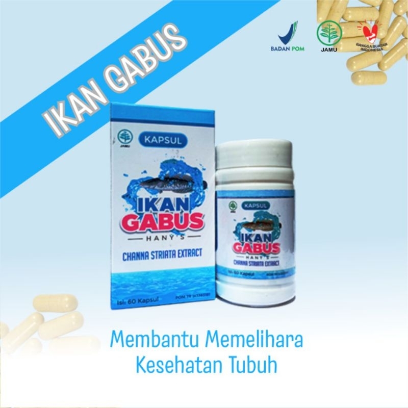 Jual KAPSUL IKAN GABUS ATAU IKAN KUTUK 60kap | Shopee Indonesia