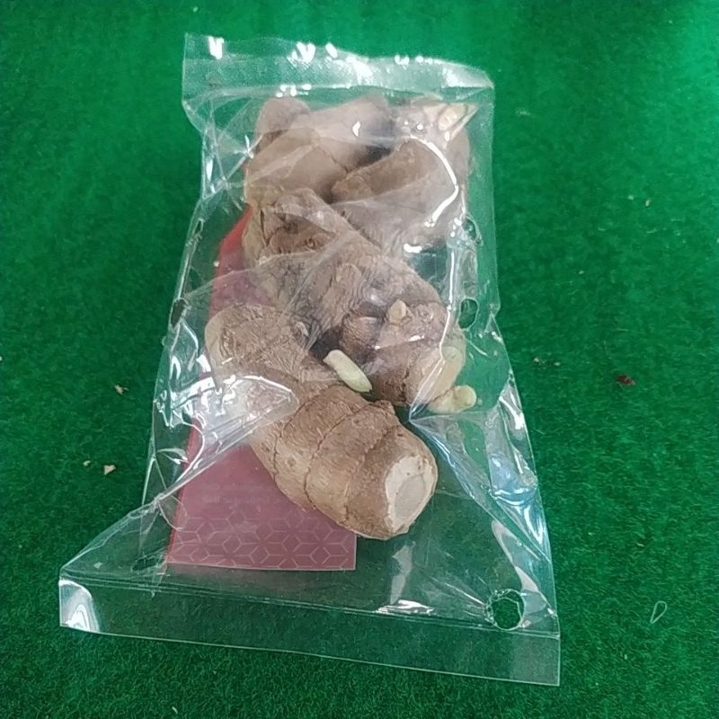 Jual TEMU POOH POH MANGGA 100GRAM | Shopee Indonesia