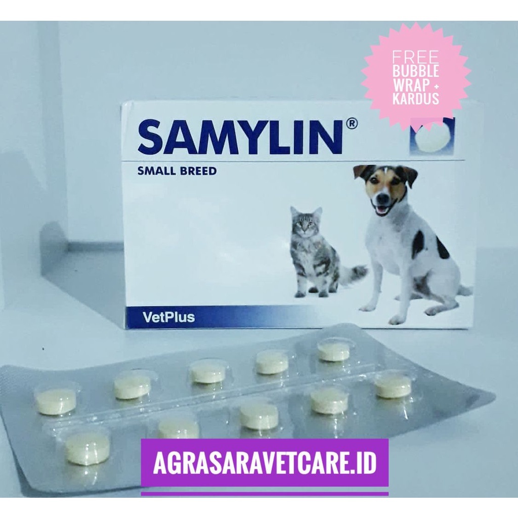 Jual Samylin Small Breed (1 TABLET) samylin vetplus- Obat gangguan liver (hati) untuk anjing ...
