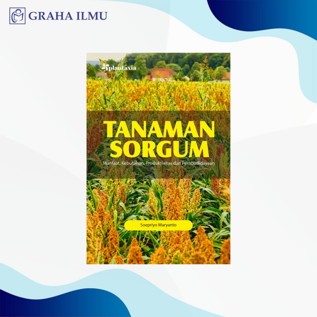 Jual TANAMAN SORGUM; Manfaat, Kebutuhan, Produktivitas dan ...