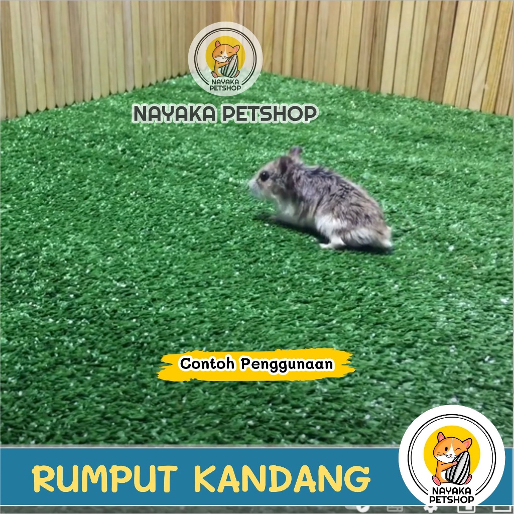 Jual Rumput Alas Kandang Hamster Dekorasi Karpet Grass Moss Sintetis ...