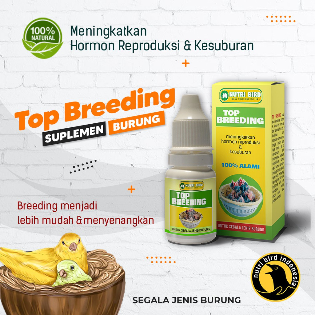 Jual BIOSEP Obat Herbal Burung ANTI BOTAK , ANTI JAMUR , ANTI KUMAN ...