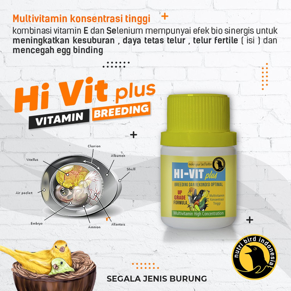 Jual HI VIT PLUS Multivitamin Konsentrasi Tinggi untuk breeding dan ...