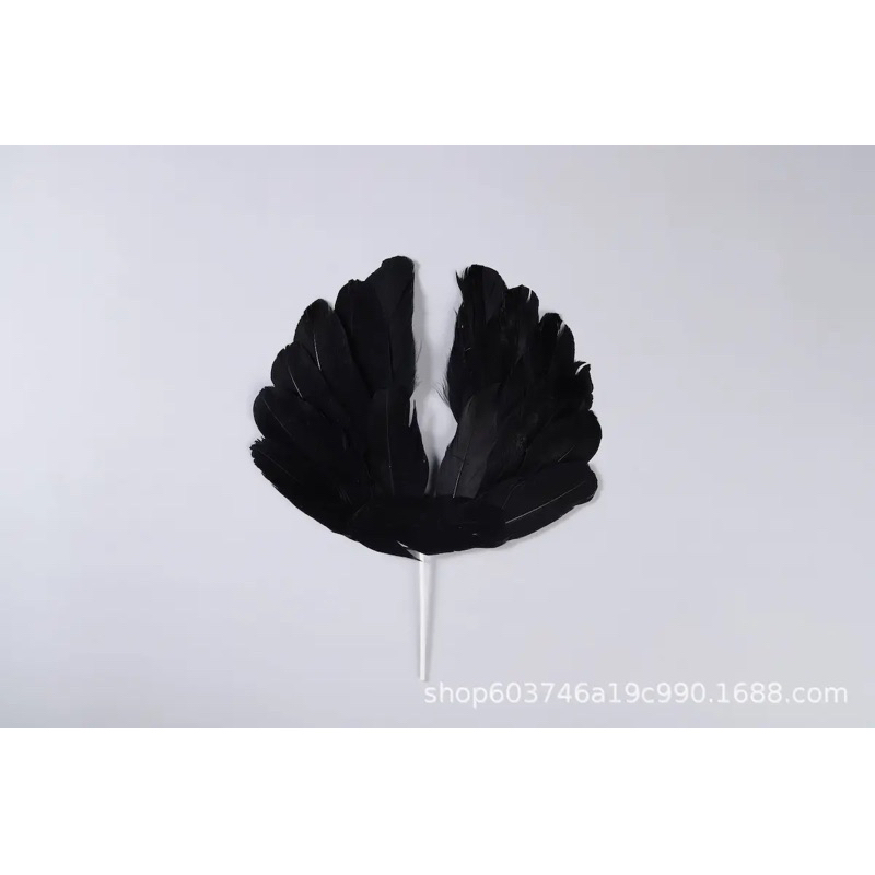 Jual topper kue pearl crown/ topper bulu ,topper mahkota /lampu LED ...