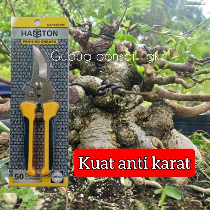 Jual gunting hasston haston prohek gunting dahan bunga buah bonsai ...