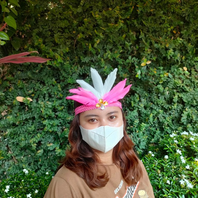 Jual Bando Hiasan Kepala Bulu Angsa untuk Tari dan Karnaval, Bandana ...