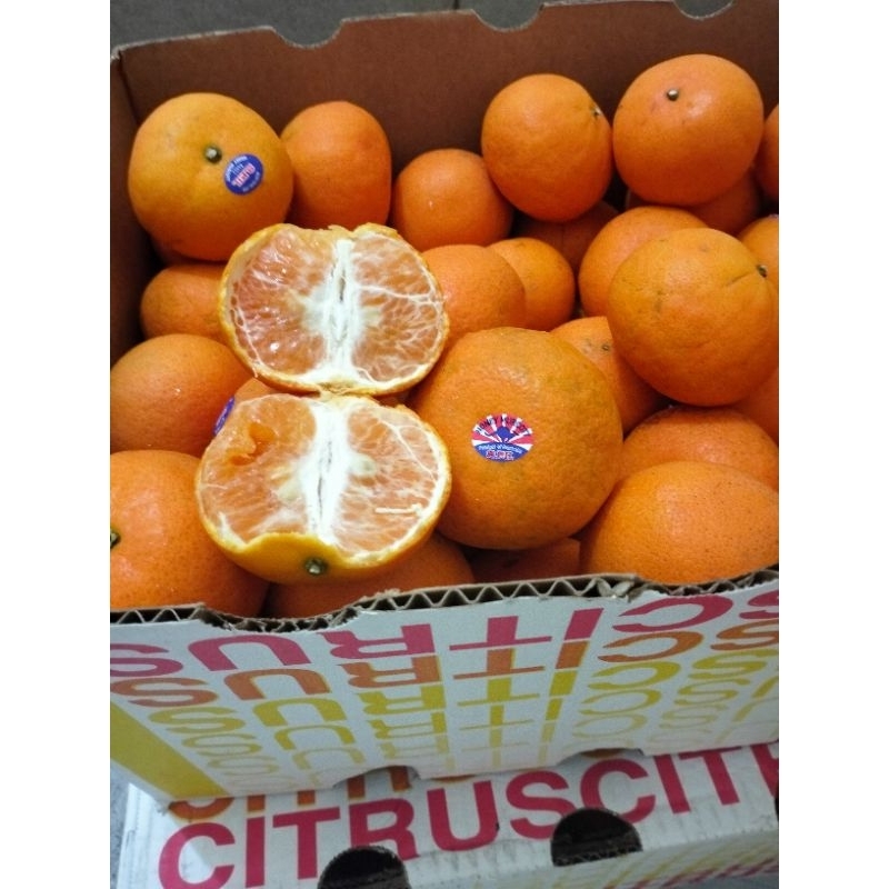 Jual Buah jeruk murcot l kg manis | Shopee Indonesia