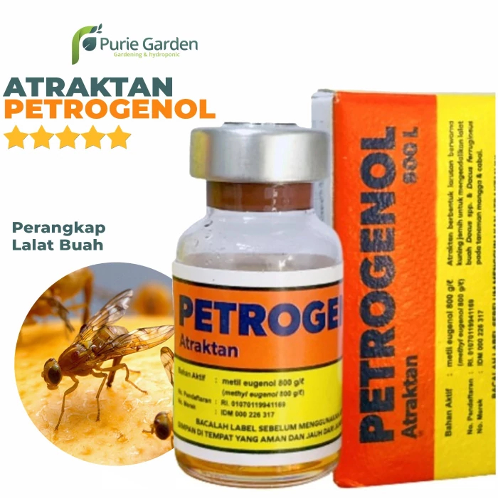 Jual Perangkap Lalat Buah Atraktan Petrogenol 5ml | Shopee Indonesia