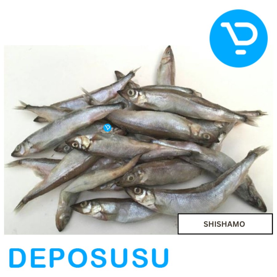Jual IKAN SHISHAMO CAPELIN TELUR | SHISAMO FROZEN FISH | Shopee Indonesia