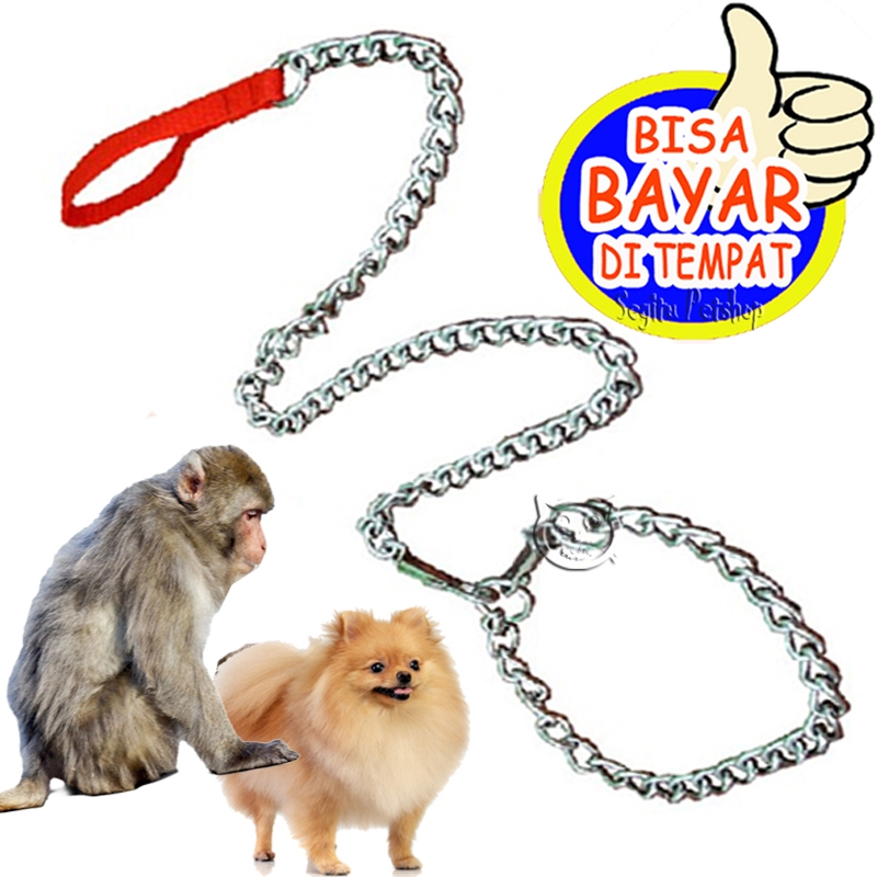 Jual RANTAI PENUNTUN ANJING MONYET KUCING HEWAN | Shopee Indonesia