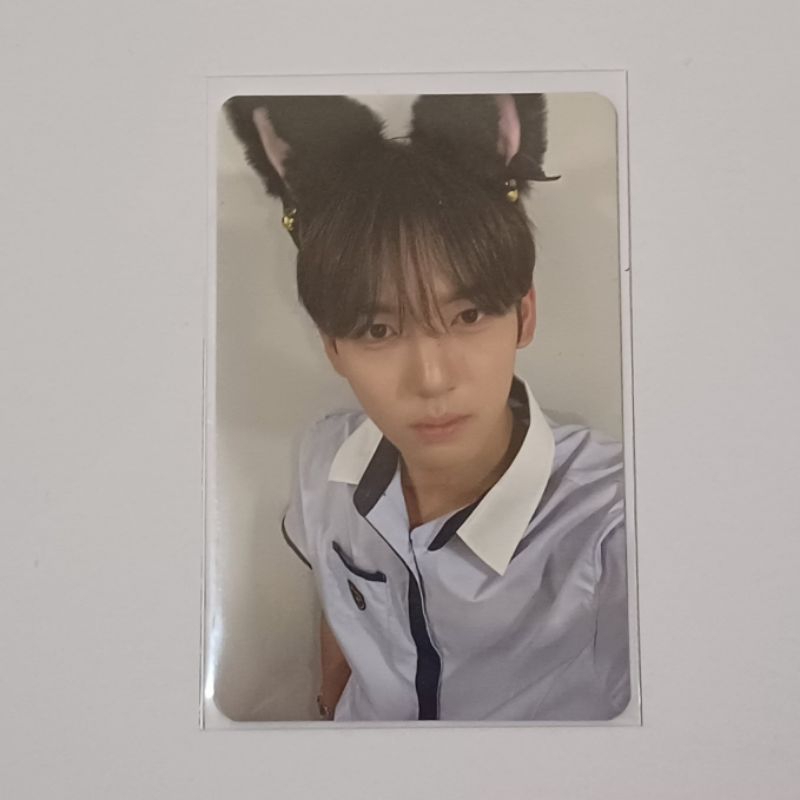 Jual POB Makestar Yujin Han Photocard Cat Ear ver. PC ZB1 Zerobaseone | Shopee Indonesia