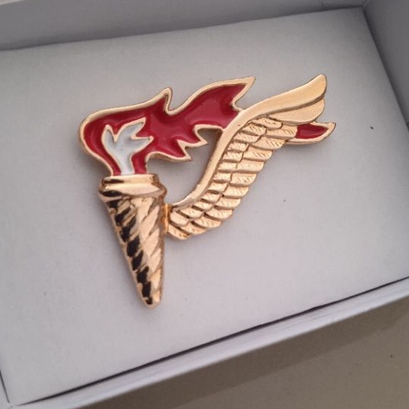 Jual brevet wing pin lencana pandu udara tni ad | Shopee Indonesia