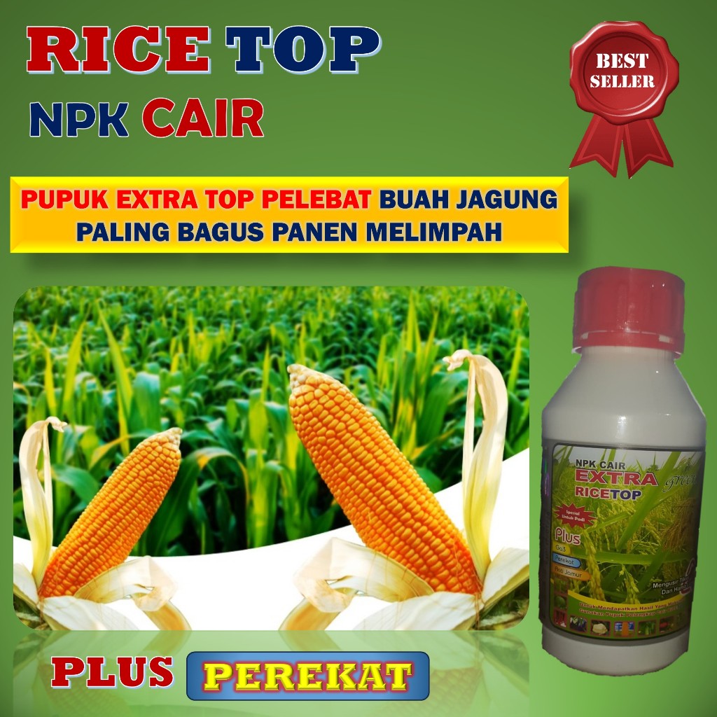 Jual RICETOP 500ML Pupuk booster jagung - Pupuk pelebat buah jagung - Obat pembesar dan penyubur ...