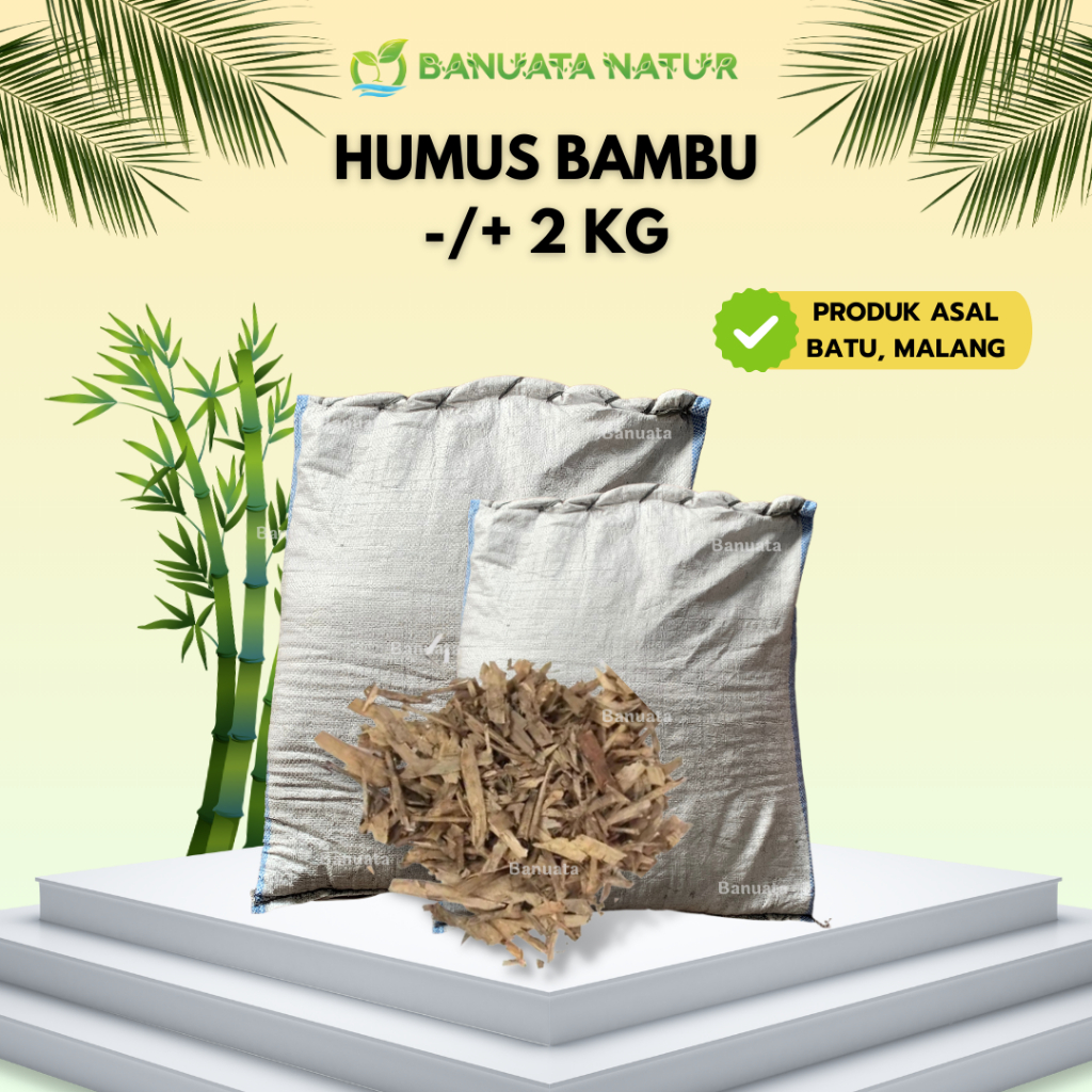 Jual Humus Bambu Karungan Isi -/+ 2 Kg Asli Malang Media Tanam ...