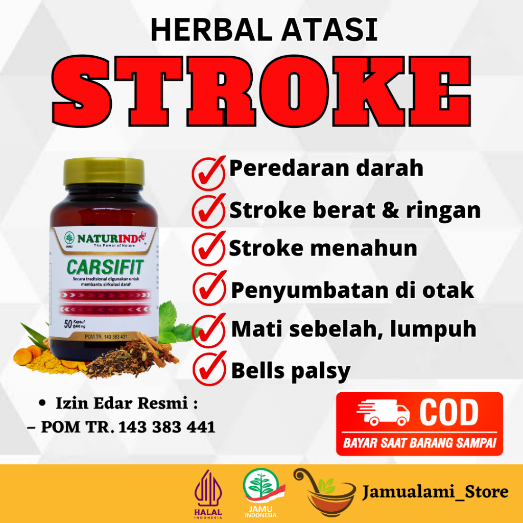 Jual Obat Stroke Berat Ringan Bells Palsy Herbal | Shopee Indonesia